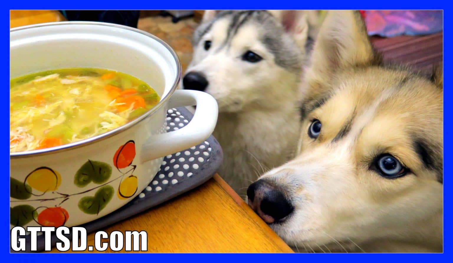 CHICKEN SOUP FOR DOGS DIY How to make Chicken Soup for Dogs | Gone to ...