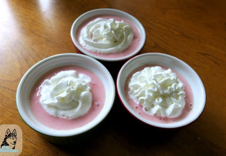 DIY DOG SMOOTHIE Strawberry Banana Smoothie DIY Dog Treats | Gone to ...