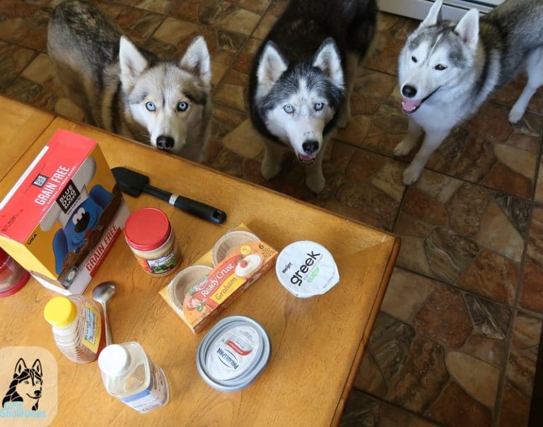 PEANUT BUTTER PIE FOR DOGS | DIY Dog Treats Birthday Pie | Gone to the ...