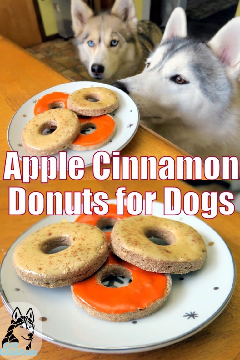 APPLE CINNAMON DONUTS FOR DOGS | DIY Dog Treats | Gone to the Snow Dogs