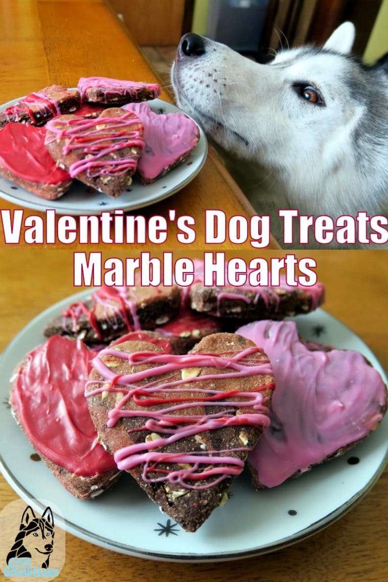 VALENTINE’S DOG TREATS DIY | Marble Hearts | Gone to the Snow Dogs